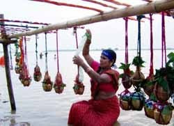 Culture: Bolbom to shiv