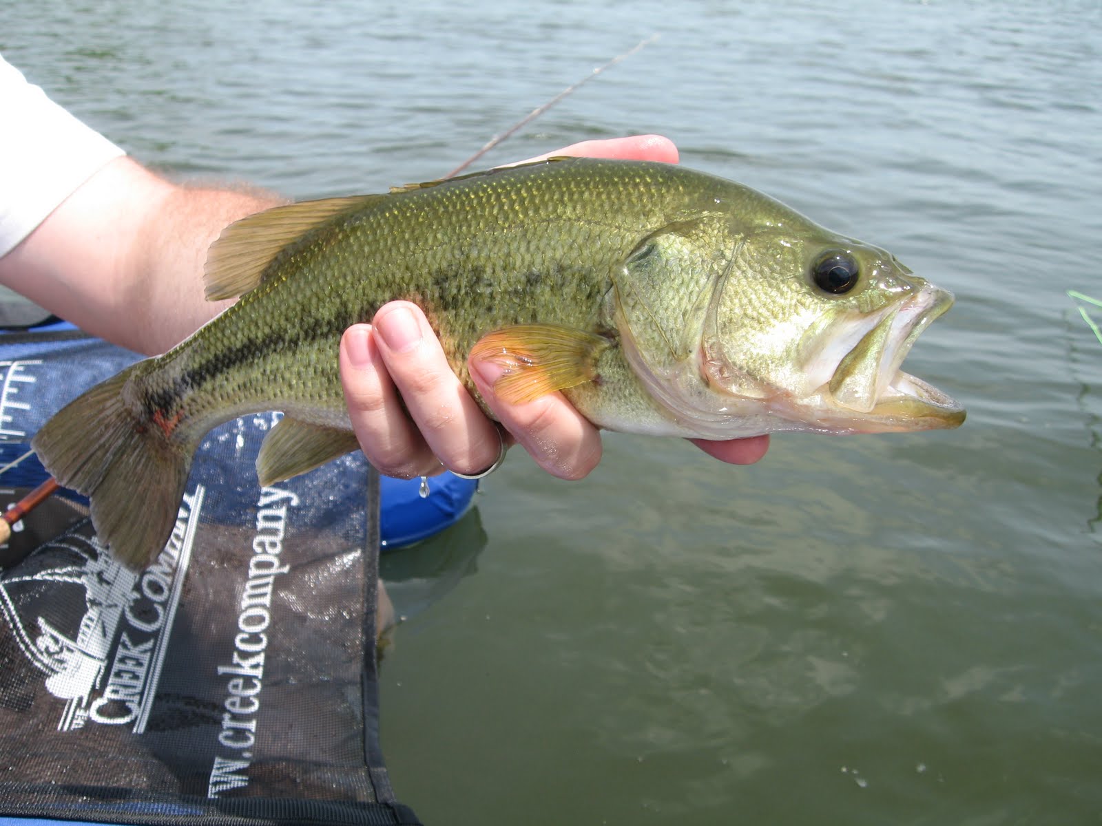 Fish On!: Raccoon River Bust