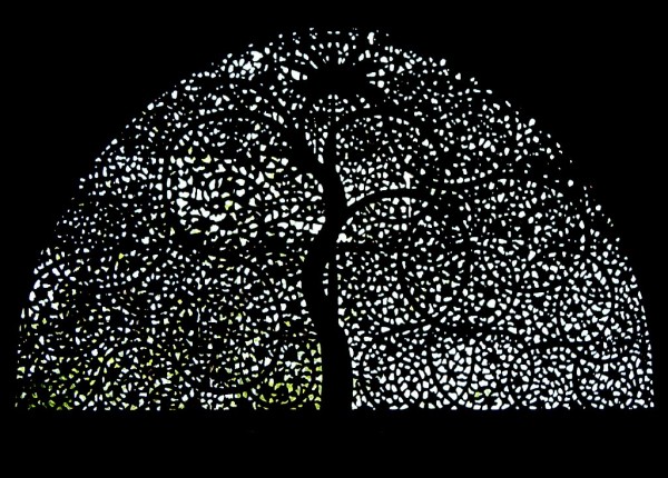 Jane's Jewels: Trees in Mythology