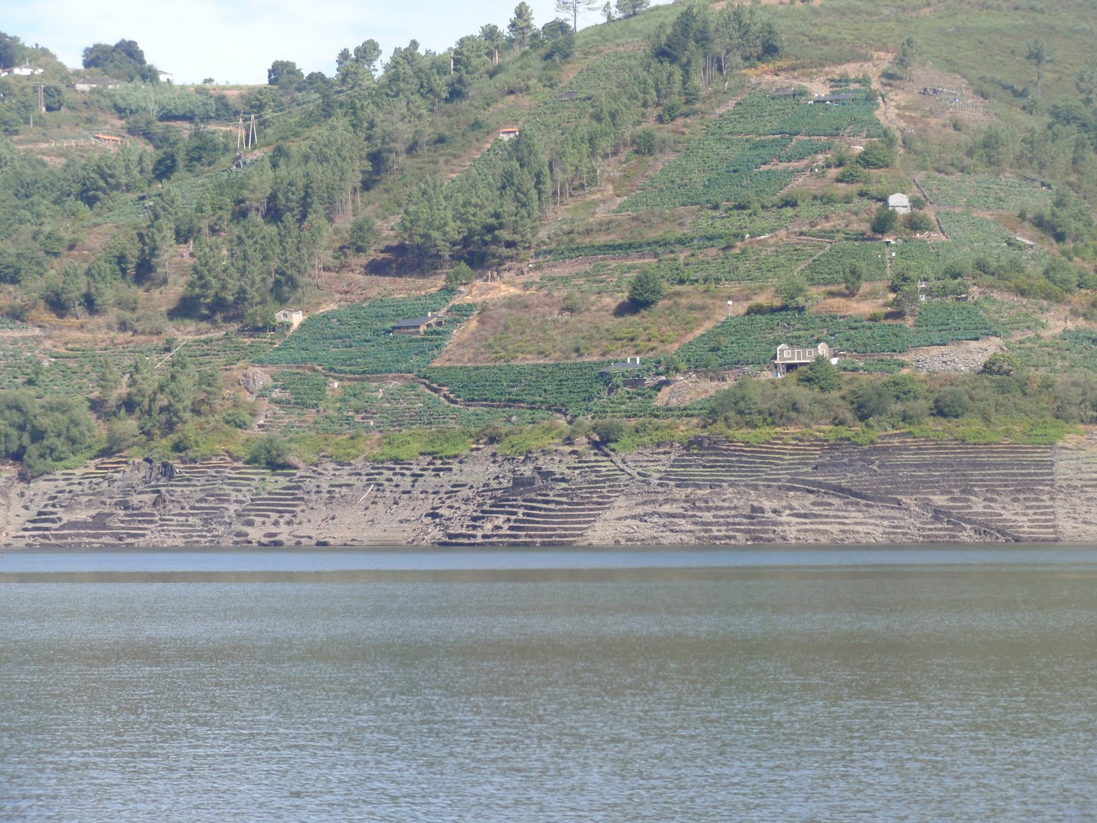 nosolomosca: Belesar mágico