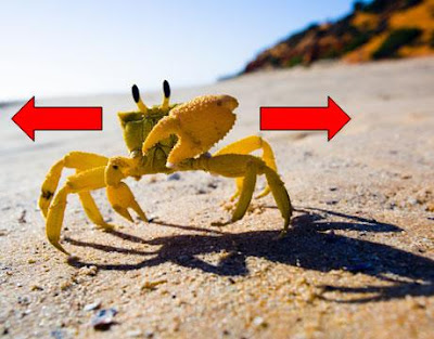 CNS Media: Shot Types