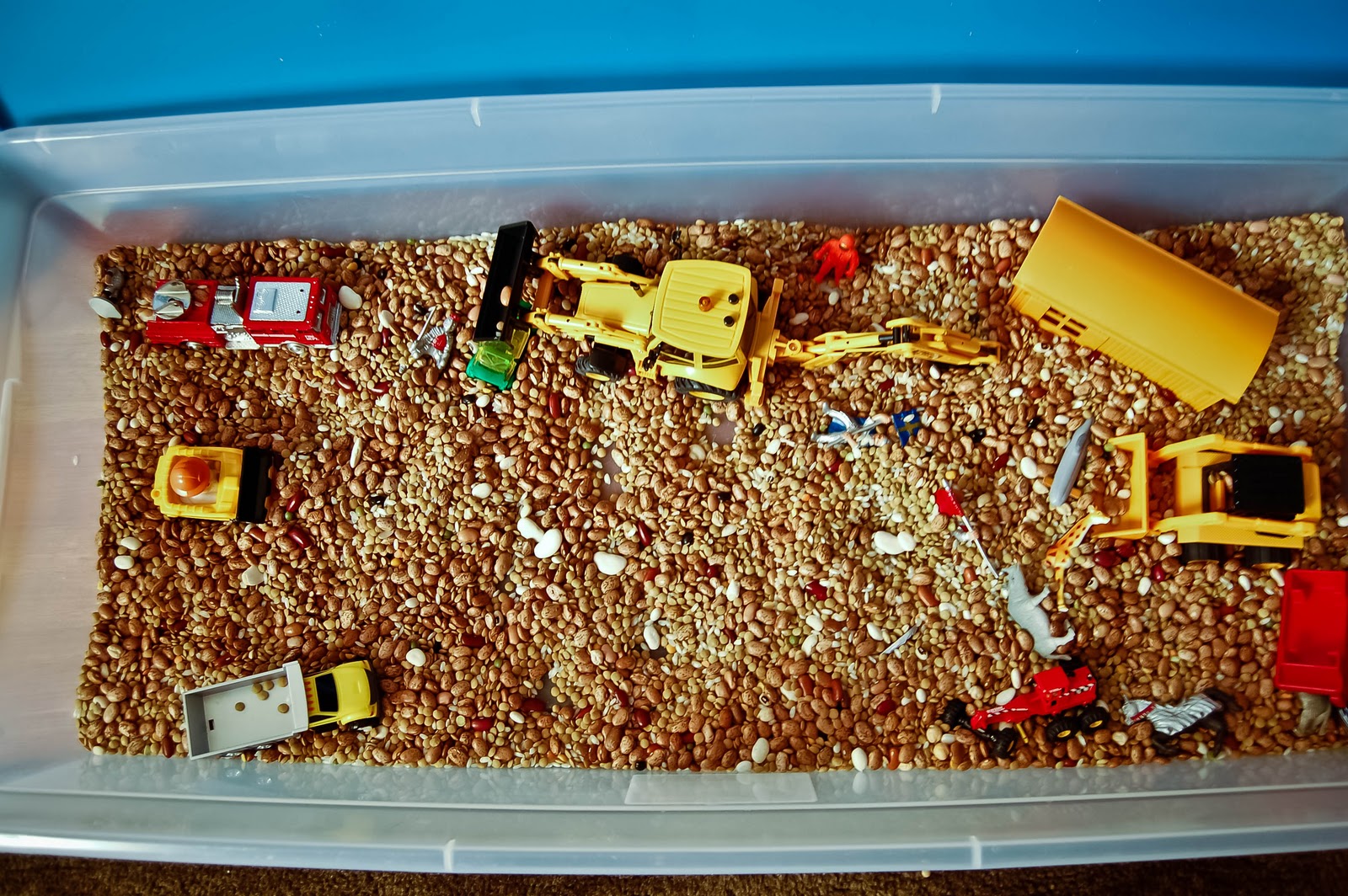 Savvy in San Francisco: Indoor "Sandbox"