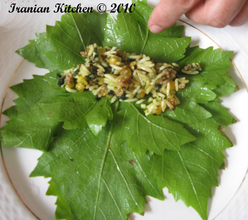 Iranian Kitchen: Dolmeh