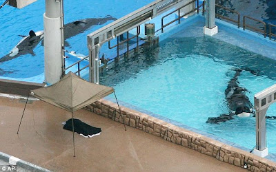 Changes My Lives: Woman trainer dies after attack from 12,000lb 'serial ...