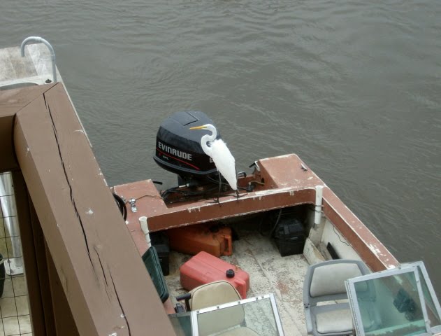 Ms. enPlace: Fish Po' Boys from down at da Camp