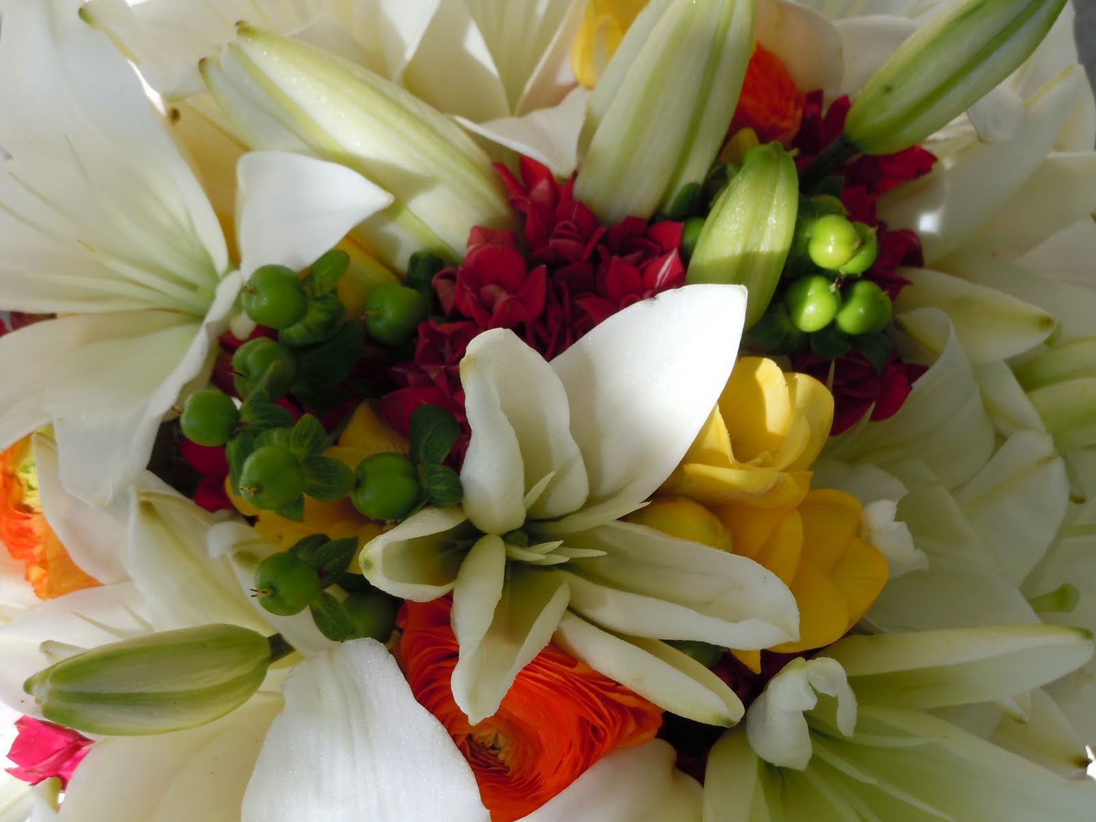 Hillside Consultants News: Fall Flower Fun!