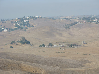 Carbon Canyon Chronicle: Tonner Canyon: Carbon Canyon's Neighbor