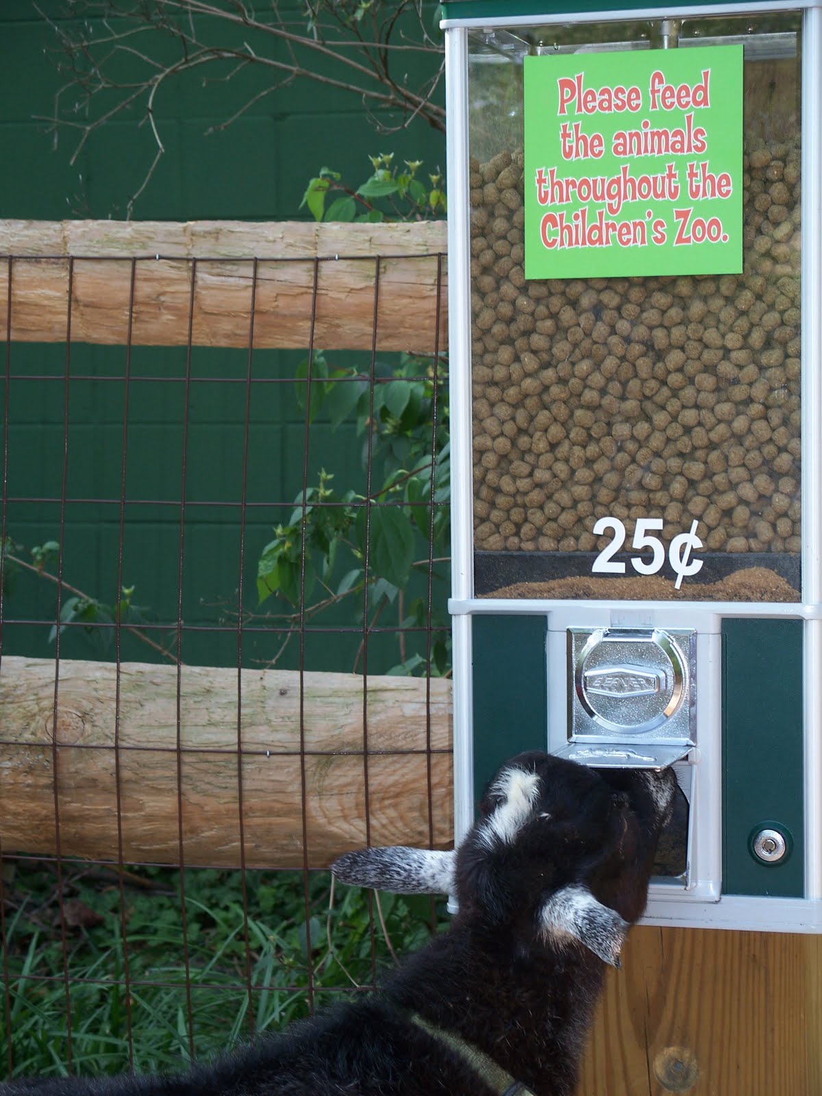 The Bots: Zoo Adventures