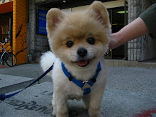 Doggies Of The World: Double-Nosed Andean Tiger Hound