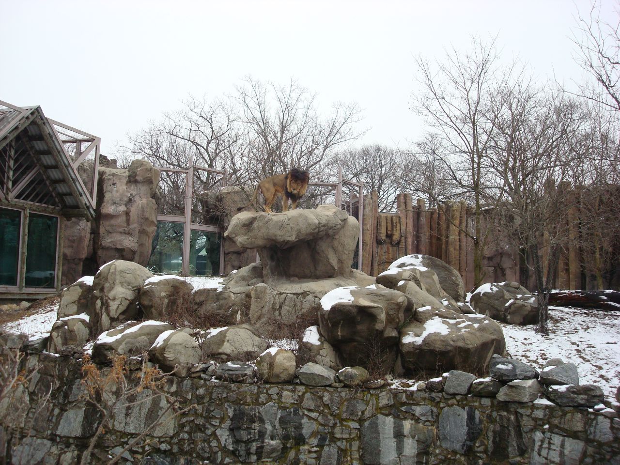 Boston Irish: Franklin Park Zoo has free admission today (9 July 2010)