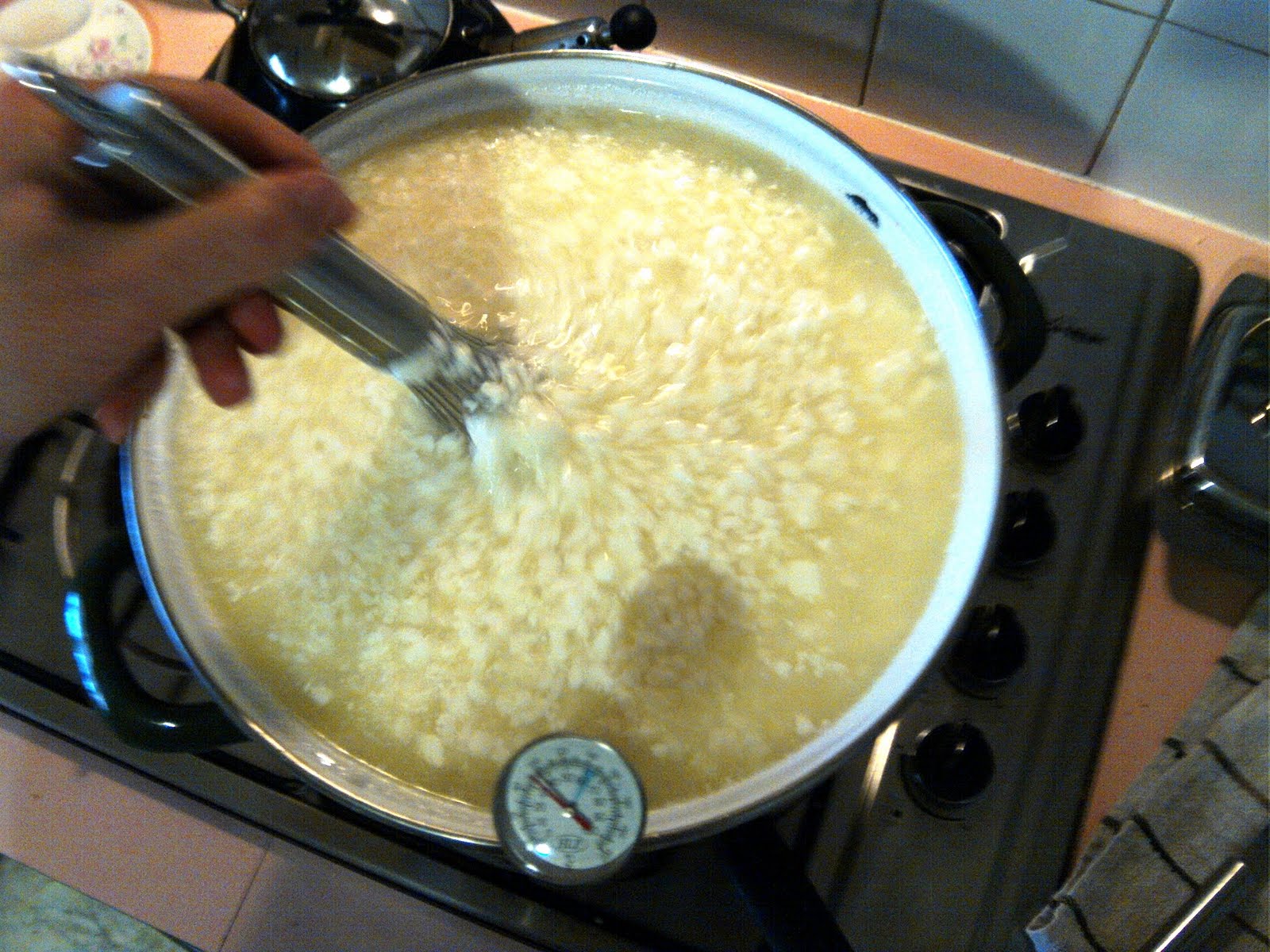 Parmesan - The Greening of Gavin