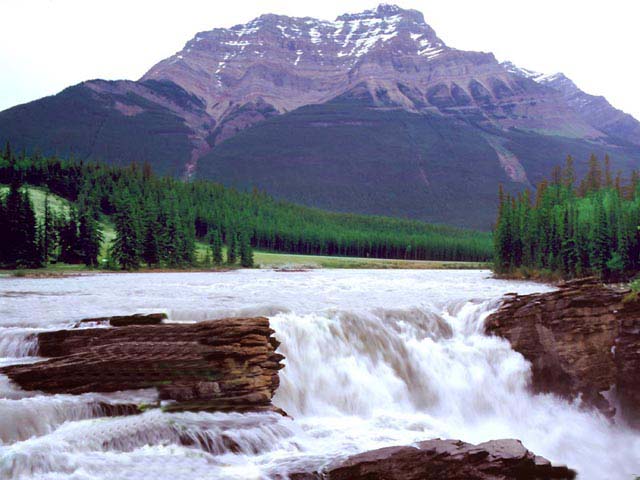 Gracia y Vida: UNA FUENTE INAGOTABLE