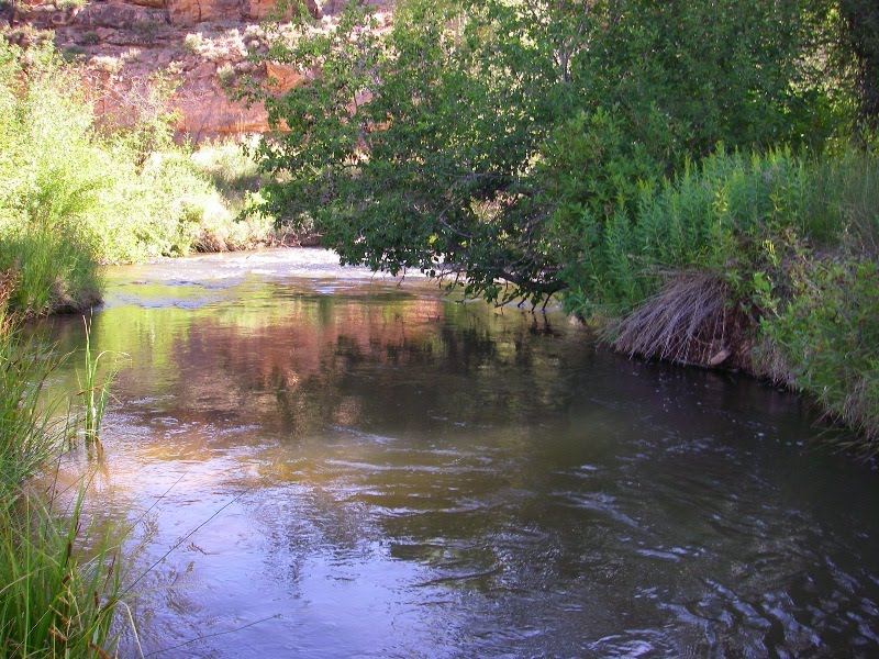 Utah Water Log: Currant Creek Reservoir