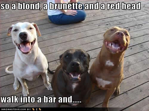 PK the Bookeemonster: April 2010