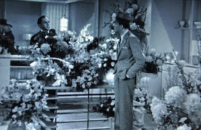 Hollywood Flowers of the Golden Age