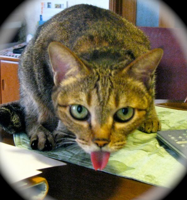 Ask a man who just finished drinking 4 liters of PEG-3350 and ...