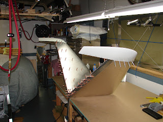 Waiex N38YX: Both Ruddervators