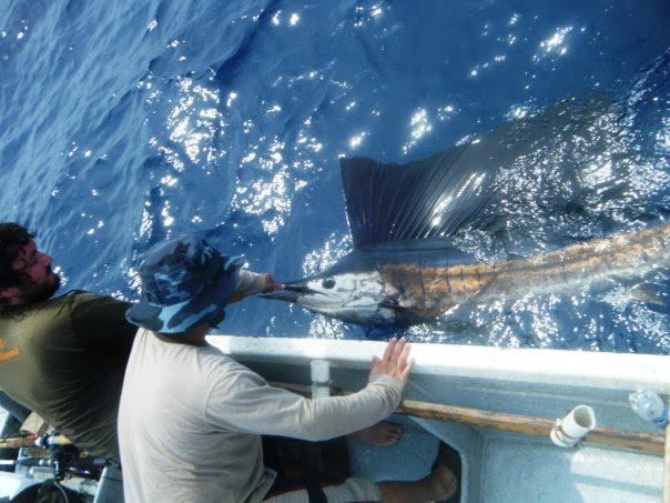 Outfitters El Salvador: Fishing: Offshore, Mangrove, and Surf Spinning