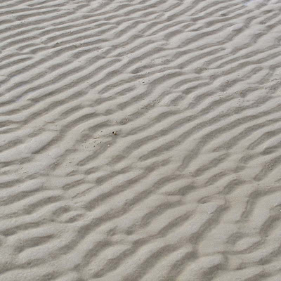 Jennifer Coyne Qudeen: July 2010