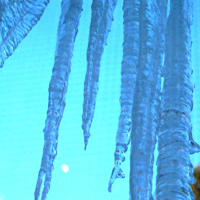 Jennifer Coyne Qudeen: January 2011