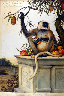 carinberger: walton ford