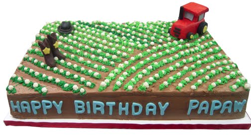 From Fonts to Fondant: Cats, Cotton and Cakes Galore!