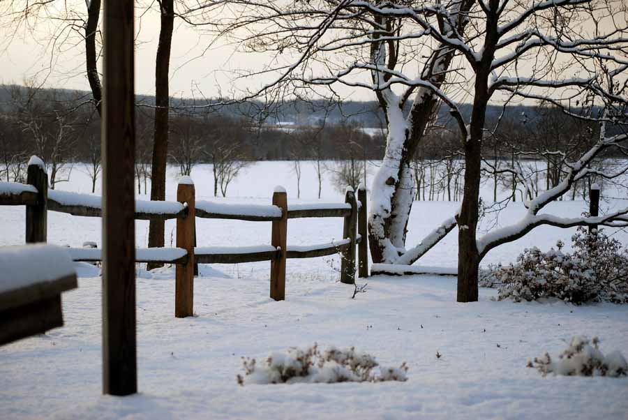 Lew's Other Pics: Window Views - Looking out at snow