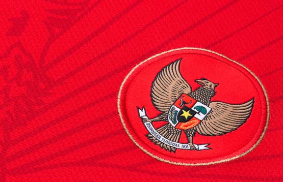 HUMANS ARE SO INTERESTING!: Alasan Tepat Lambang Timnas Indonesia ...