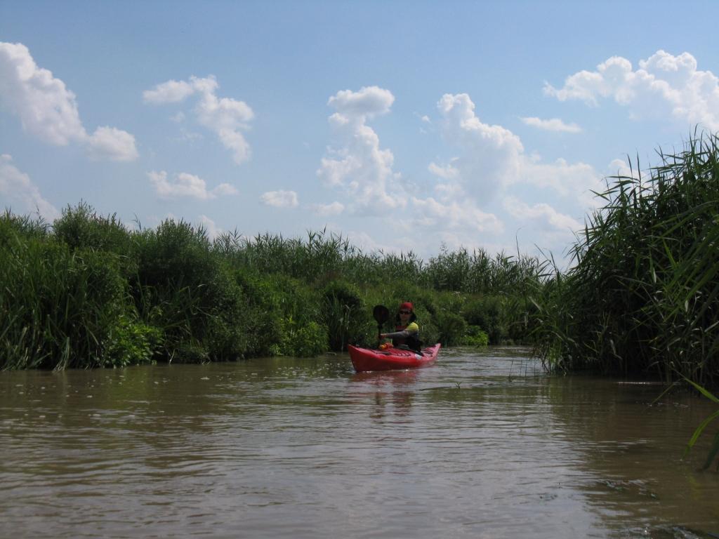 Delta Neajlovului – Romania vazuta din caiac
