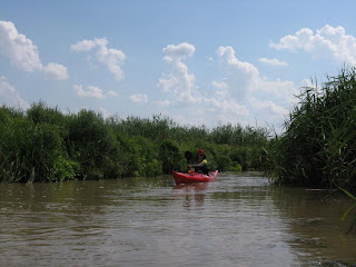 Delta Neajlovului – Romania vazuta din caiac