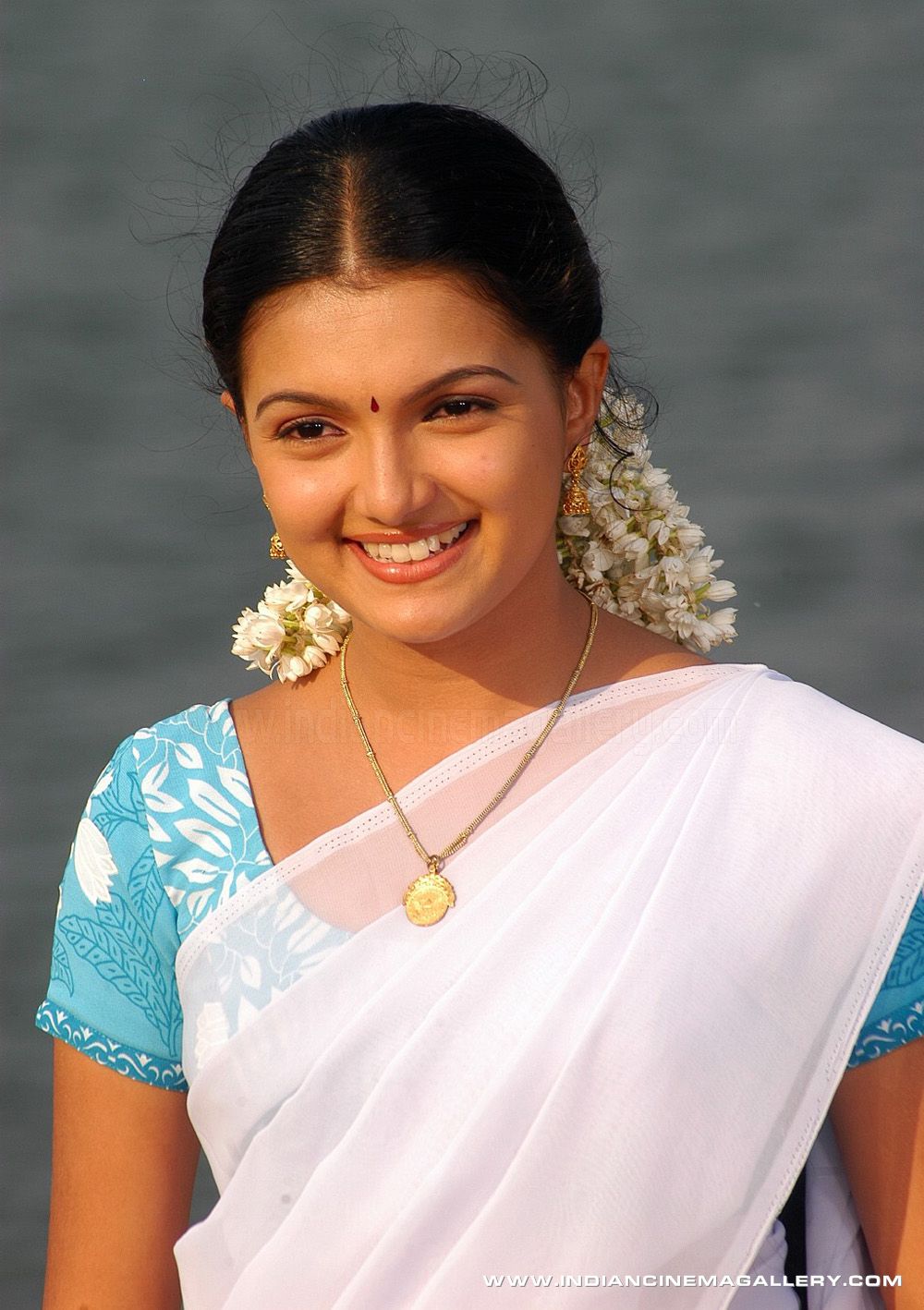 Indian Cinema Gallery: South Actress Saranya photos images