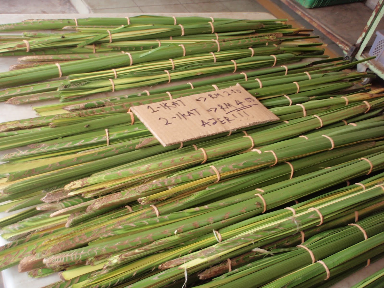 Xing Fu: KETUPAT FROM DAUN PALAS