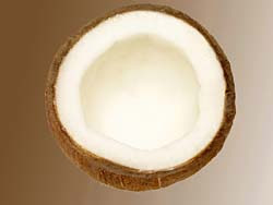 Indian Food Facts - Know Your Food Today: Coconut Sammanthi / Coconut ...