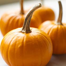 Indian Food Facts - Know Your Food Today: Red Pumpkin Raita / Laal ...