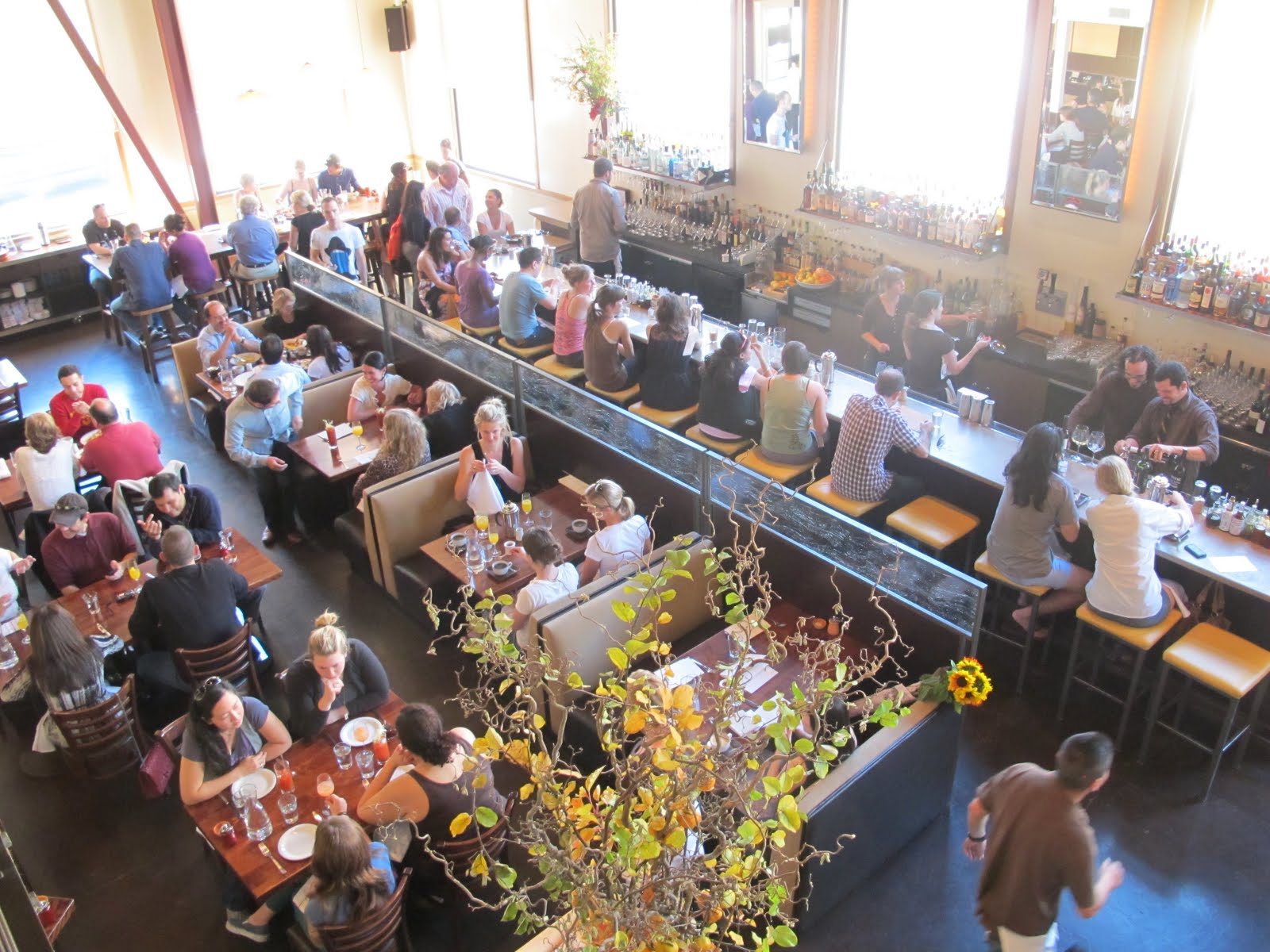 Classy Eats: Sunday brunch at Nopa, NoPa, SF.