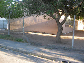 Strand Moslem Primary