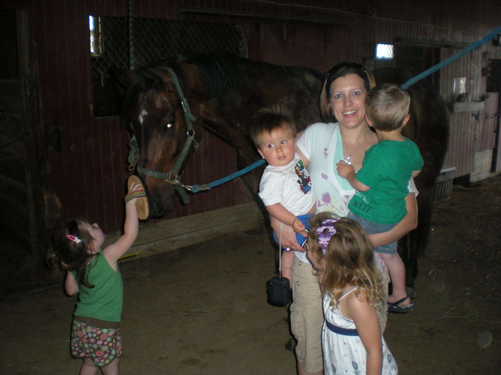 Local Farm Mom: Cousins Visit