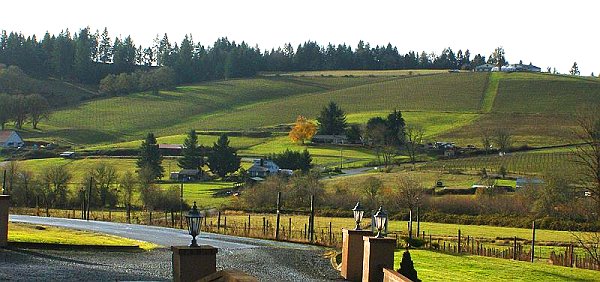 Travels with a Muse: Sylvan Ridge - Another Plein Air Show