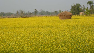 NEPAL: Nepal Geography: