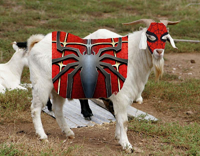 What've you learned today? - Page 2