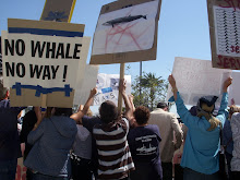 To Kill A Mockingbird: Mob Mentality