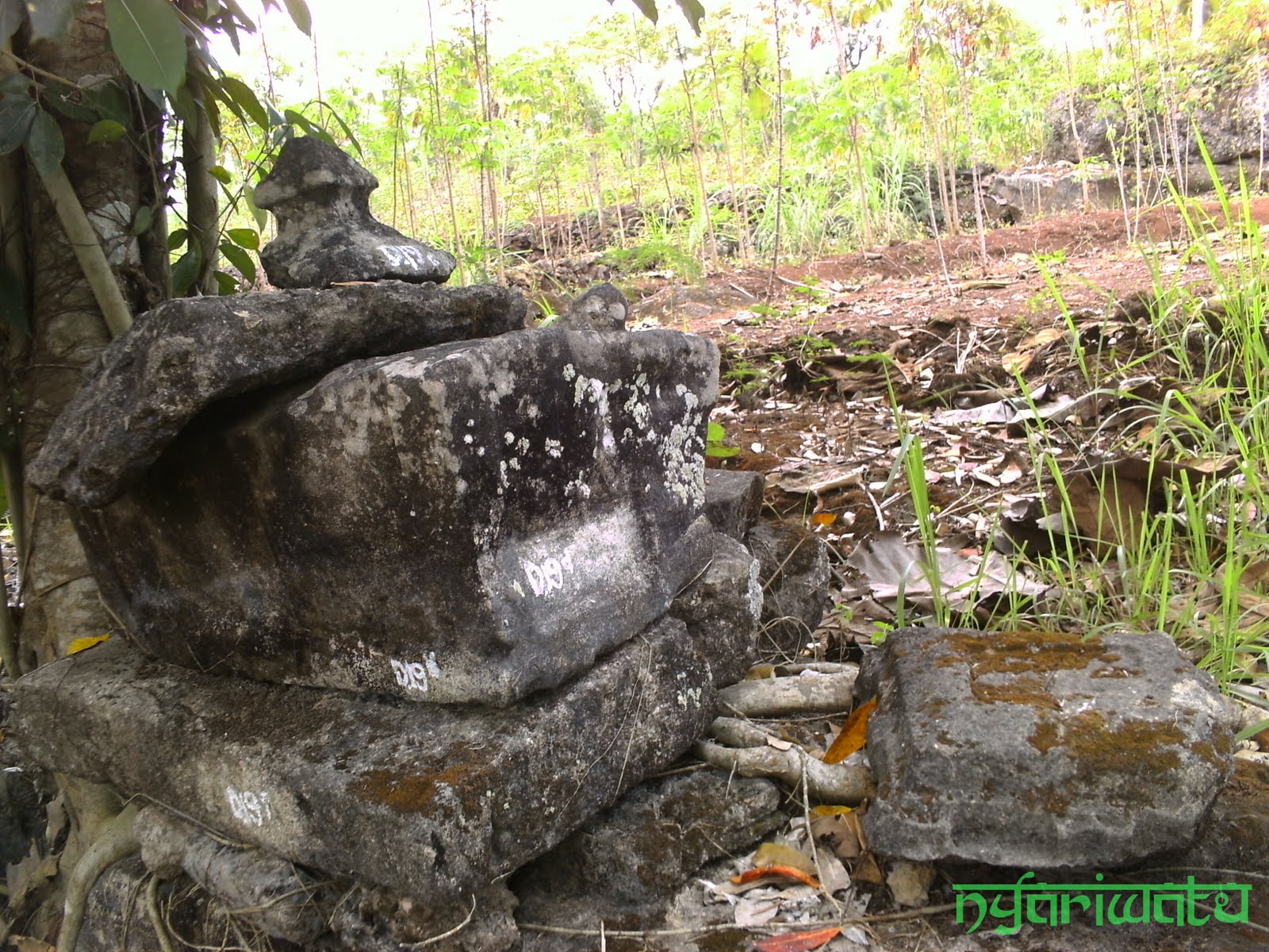 situs sumur gedhe - nyariwatu