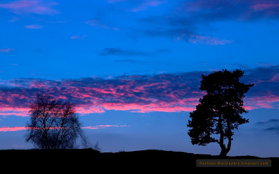 Imagini Desktop Poze Wallpapers: WALLPAPERE Natura