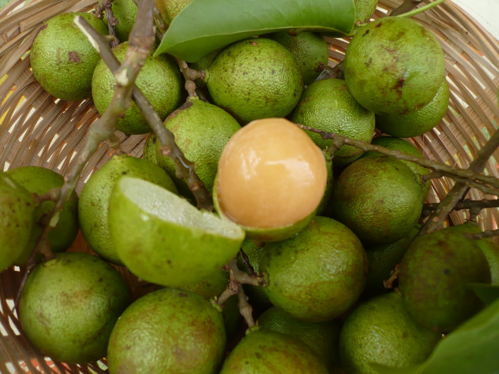 EL SAZON DE MI COCINA: Una de limoncillos...