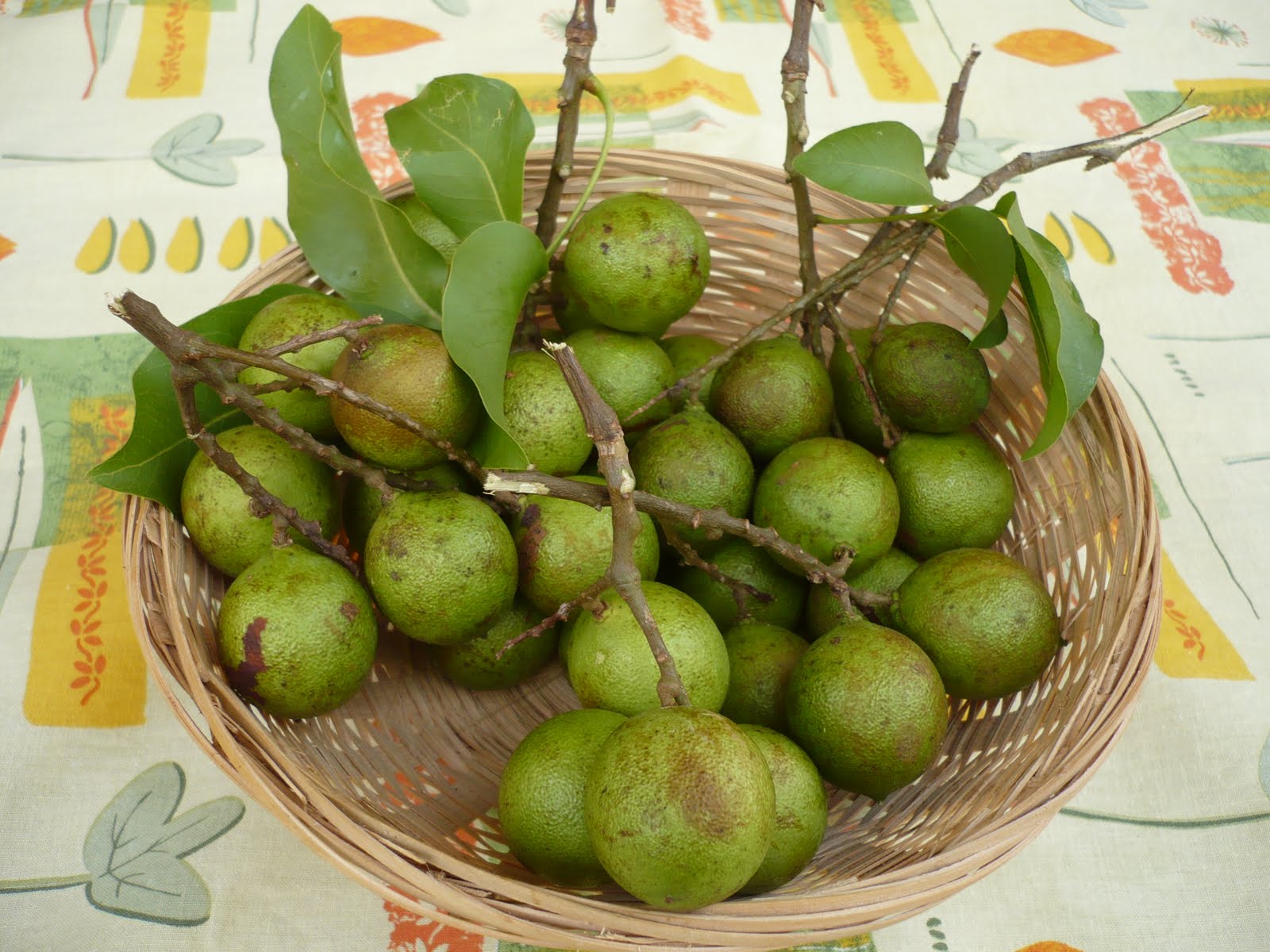 EL SAZON DE MI COCINA: Una de limoncillos...