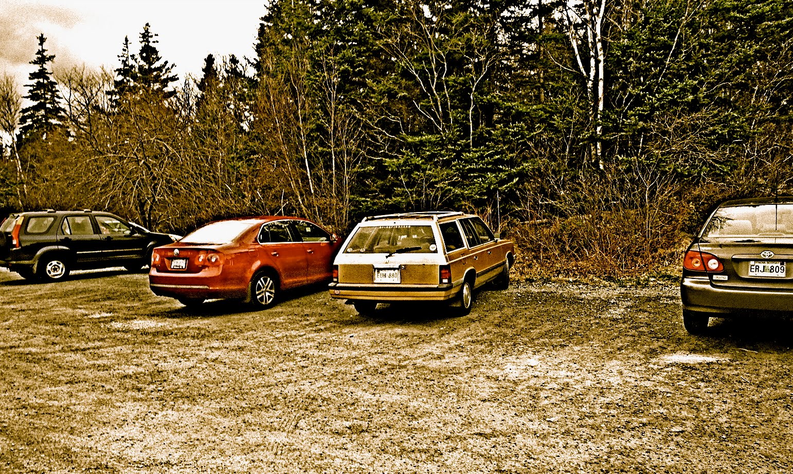 PHOTOGRAPHY VII BY GOODCARBADCAR.NET | GCBC