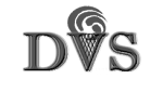 Club Deportivo DVS: Historia del club DVS