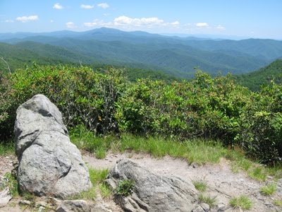 The Smoky Mountain Hiking Blog: June Hike of the Month: Spence Field ...
