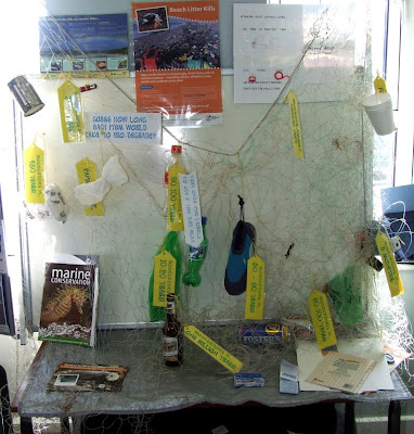 Adventures of Ed the Bear: Marine litter and other debris