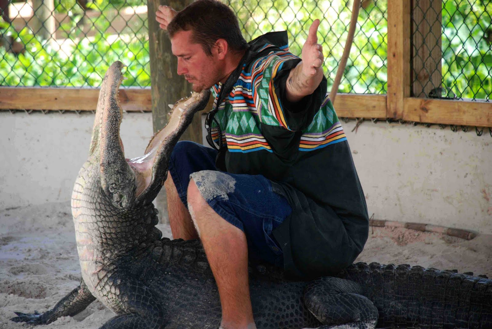 Adventures of Ed the Bear: Day 4: Coral reef diving, exploring an ...